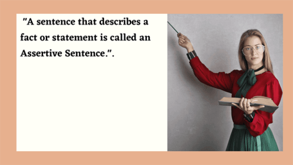 Assertive Sentences | Definition, Structure, And Examples | English Finders