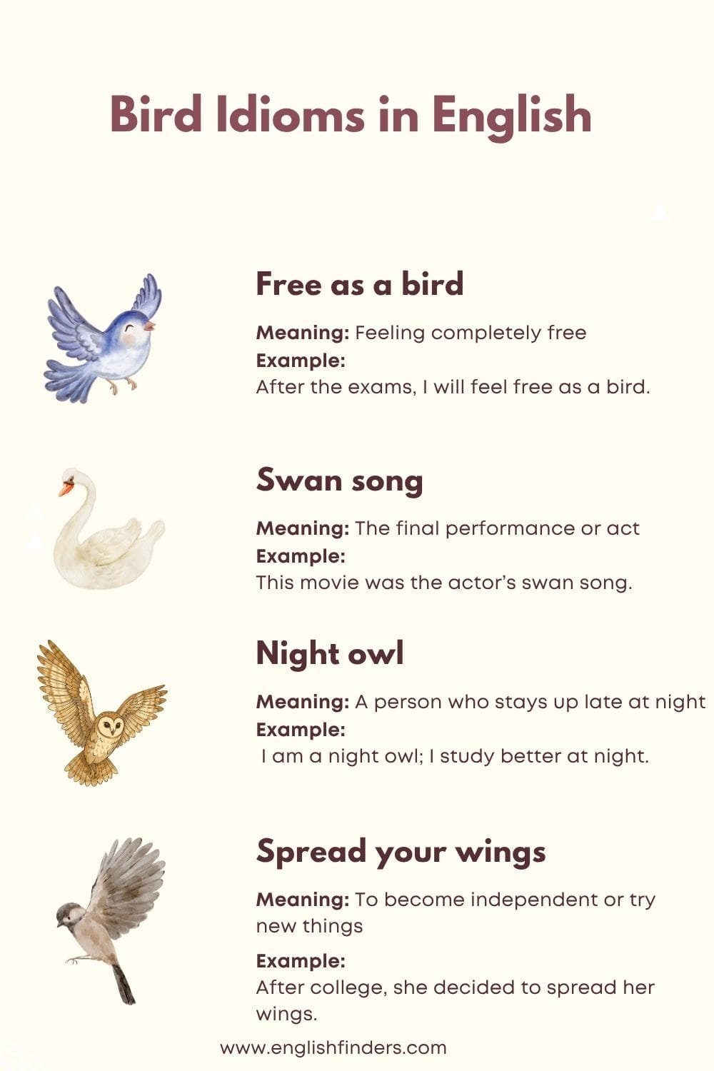 20+ Popular Bird Idioms: Meanings And Example Sentences | English Finders